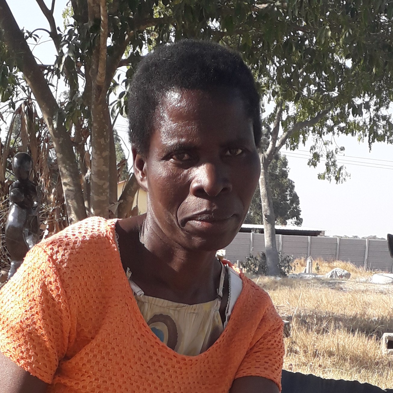 Exhibitors - Sculpture at Kingham Lodge